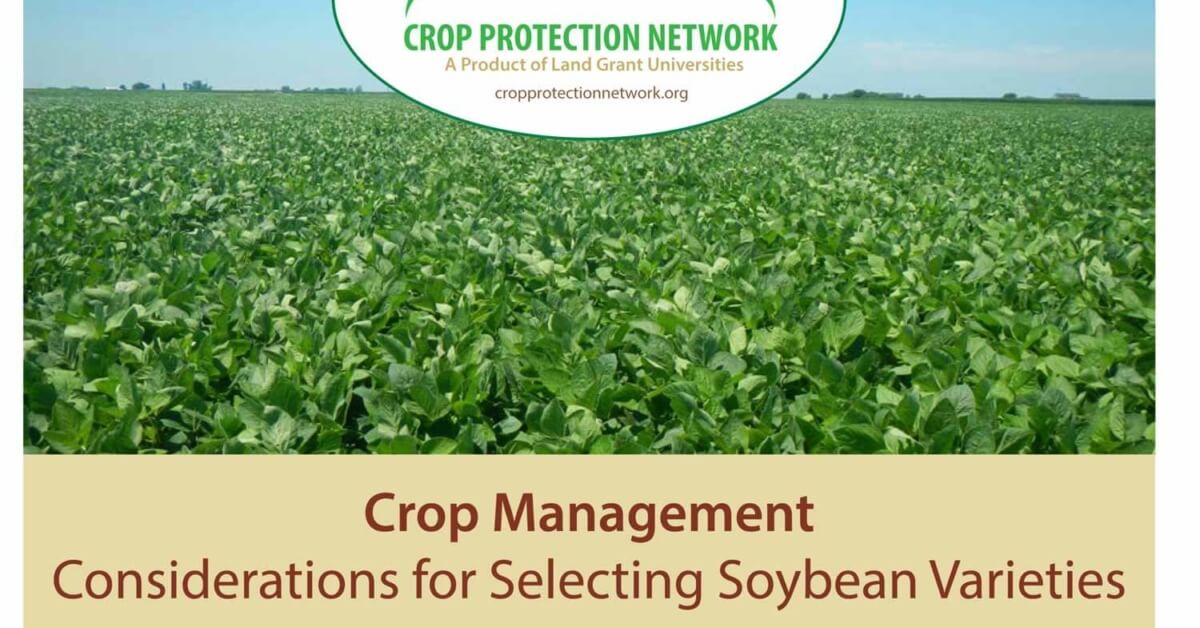 Soybean Extension Group: Bringing Science to Farmers - Research Summary ...