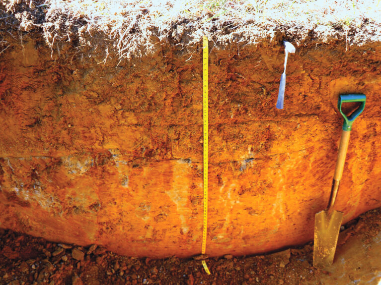 Fragipan field day held in Princeton - Research Highlight - Soybean ...