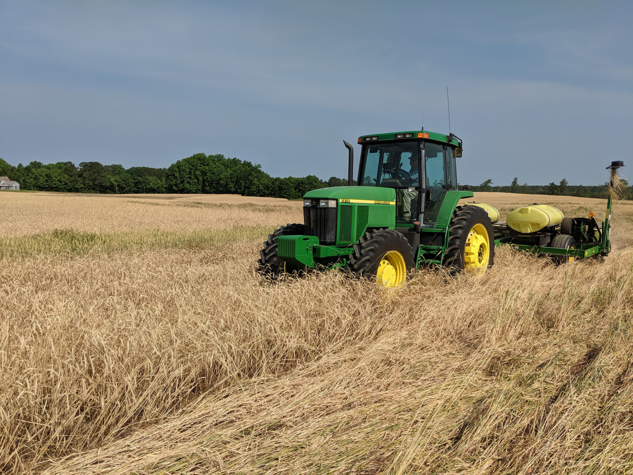 Controlling Weeds in Virginia: Cover Crops and Herbicide Management are ...