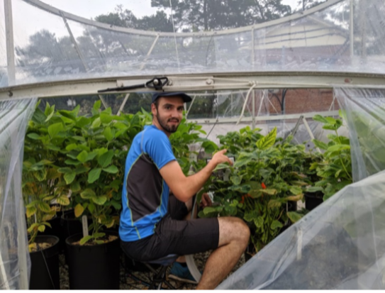 Soybean Nutrient Concentration Research Aims to Improve Fertilizer Use ...