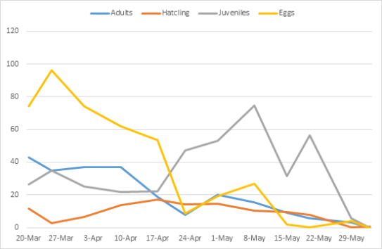 Investigating Slug Egg Hatch for Patterns - Research Highlight ...