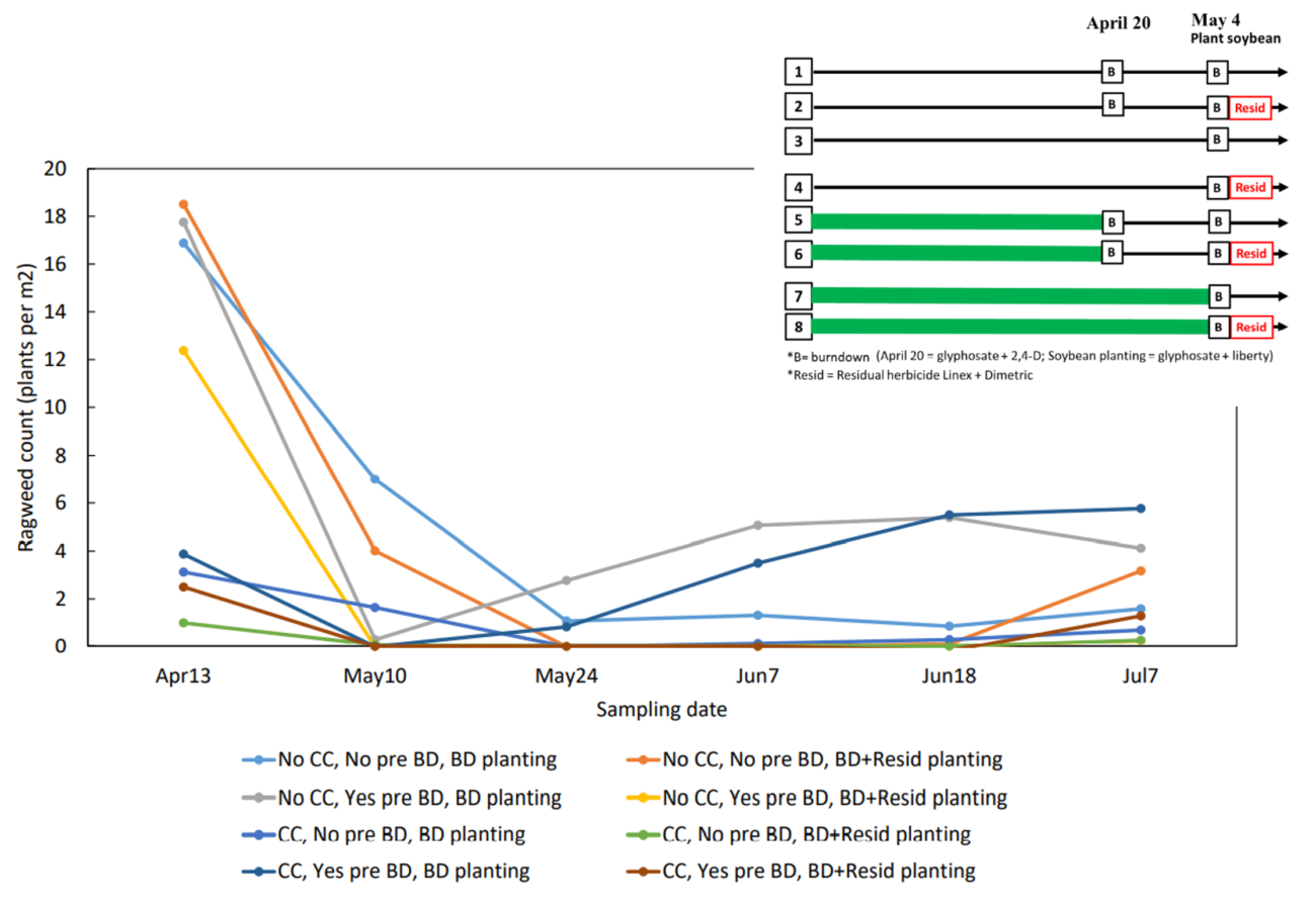 Herbicide-Resistant Common Ragweed Control: Limiting Emergence (Part 1 ...