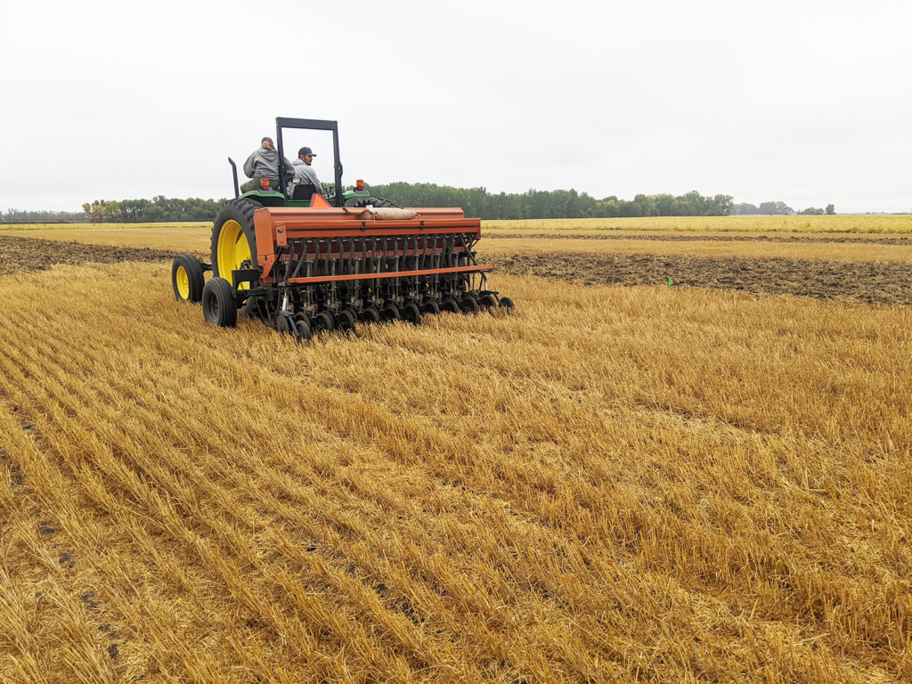 Planting Green: Incorporating Cover Crops in Minnesota Soybeans ...