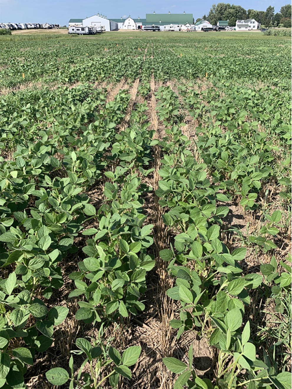 Testing the Viability of Double-Cropping and Intercropping of Wisconsin ...