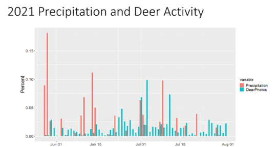 Fitting Forage Soybeans into Deer Management Strategies - Research ...