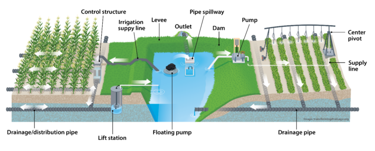 Scaling Up Drainage Water Recycling - Research Highlight - Soybean ...