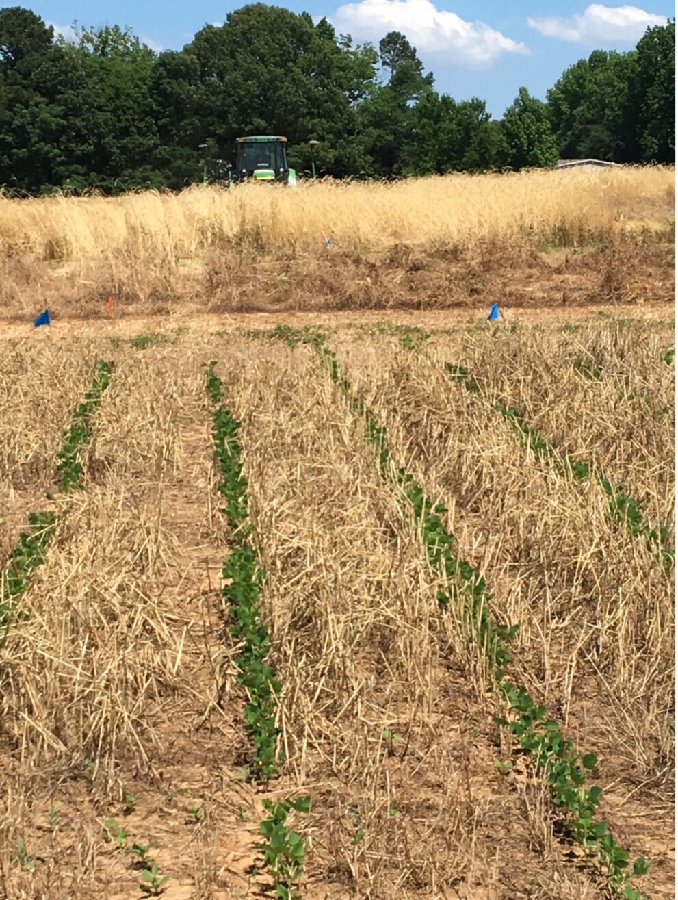 Measuring How Agronomic Systems Change Soil Health and Crop Yield ...