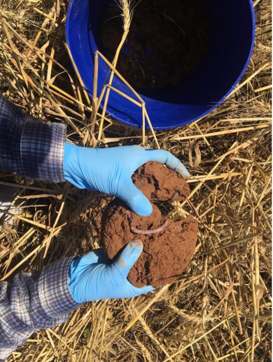 Measuring How Agronomic Systems Change Soil Health and Crop Yield ...