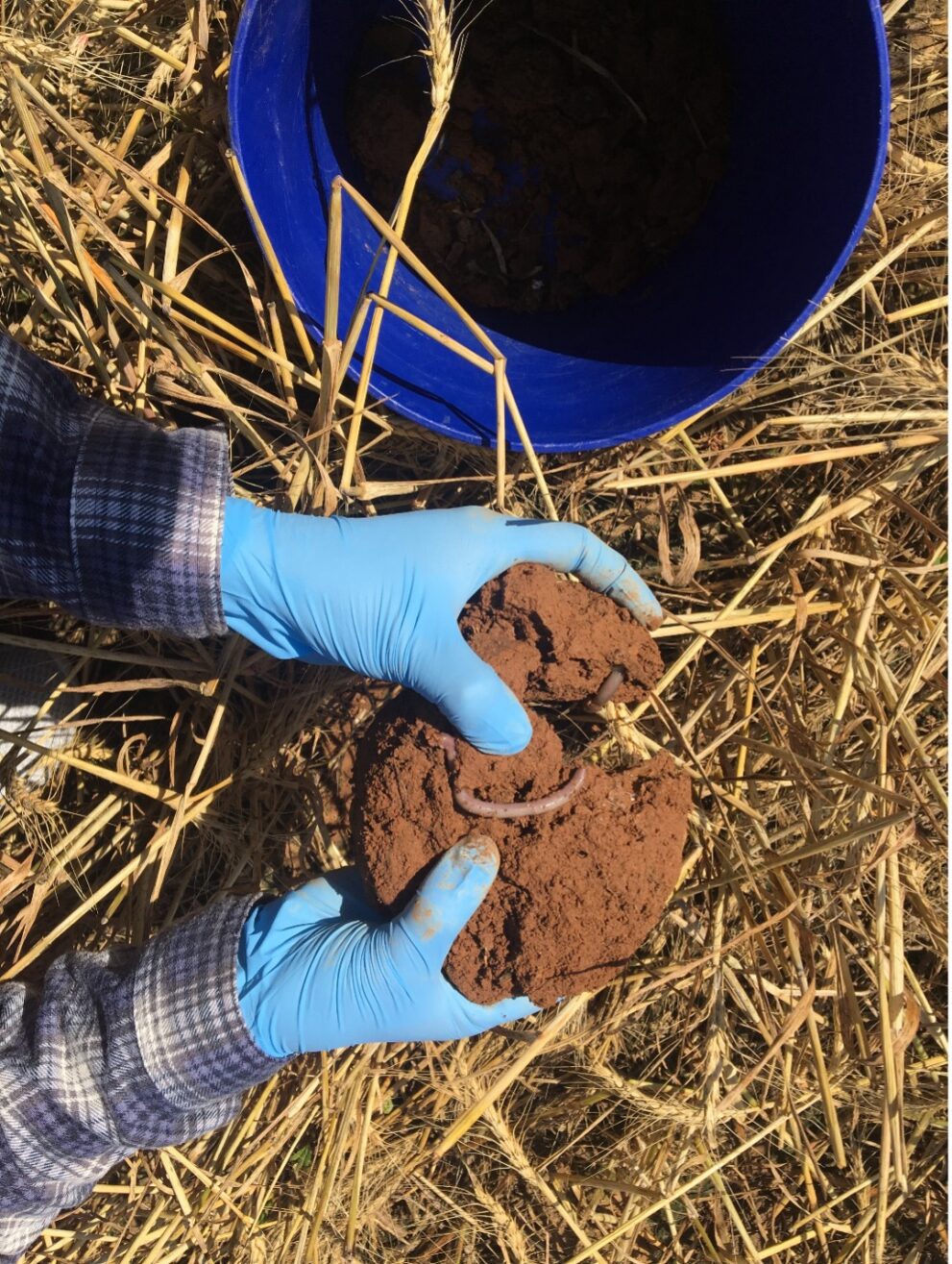 Measuring How Agronomic Systems Change Soil Health and Crop Yield ...