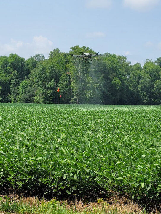 Can Fungicide Applications via Drones Effectively Control Soybean ...