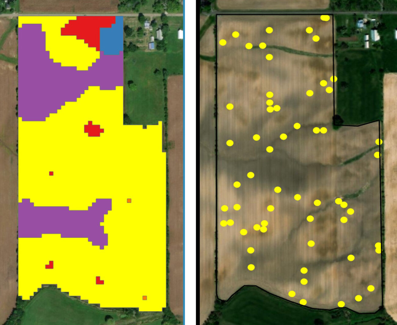 The Future of Weed Management is Automation - Research Highlight ...