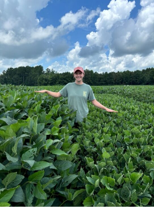 How Soybean Growth Habit Factors in Variety Selection - Research ...